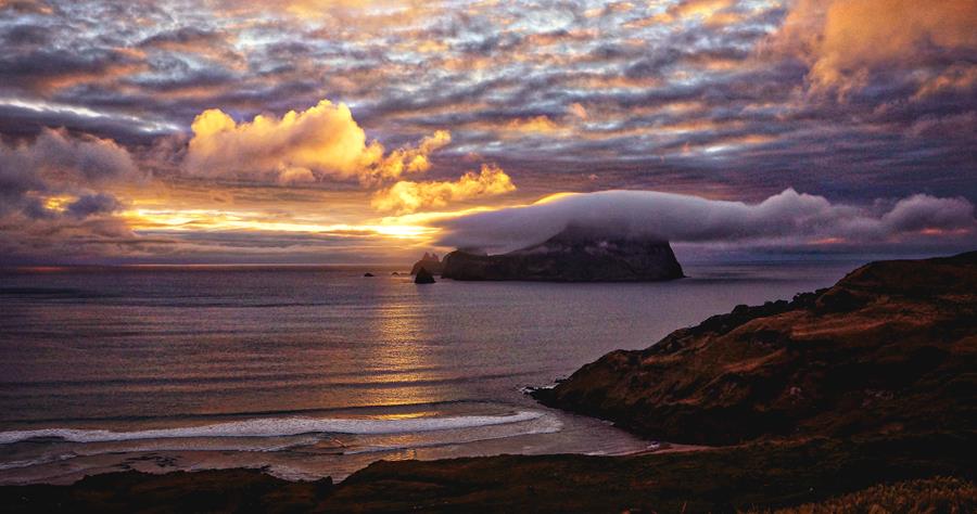 Important Visitor Information – The Chatham Islands