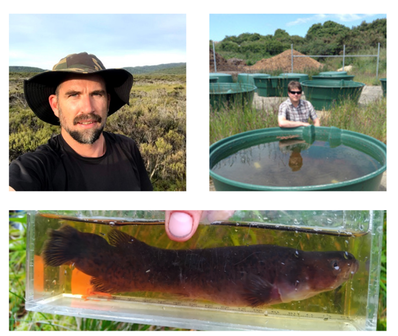 Chatham Islands Festival Of Science August 2025 – The Chatham Islands